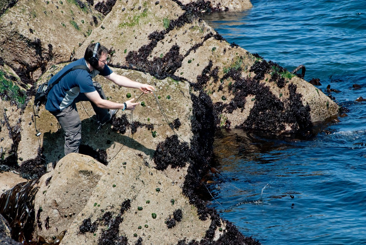 Sound Engineer – Timothy Cooper